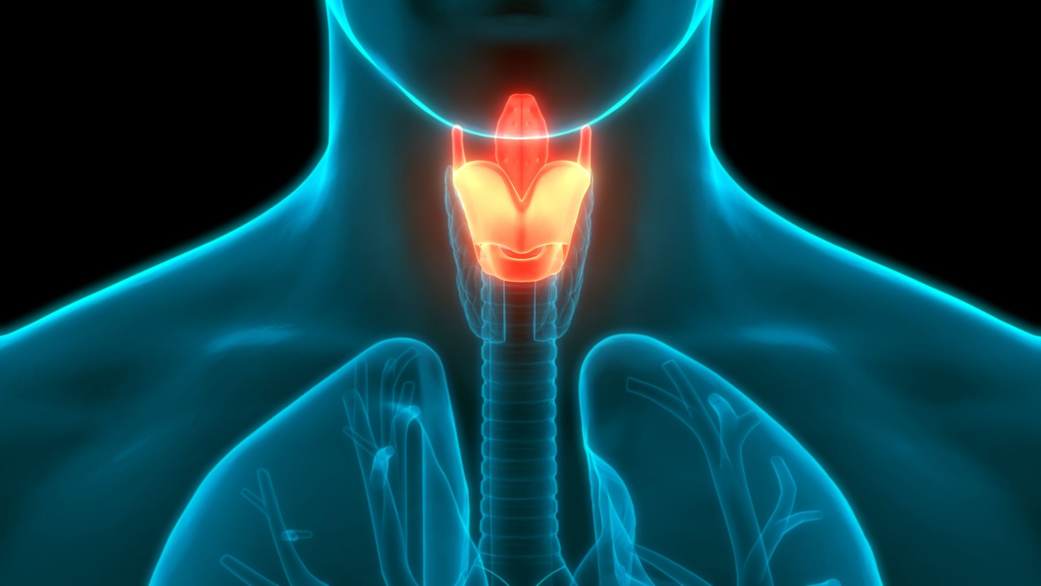 Stembandverlamming » Logopediepraktijk Oud Noord